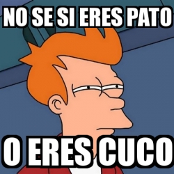 Meme Futurama Fry - no se si eres pato o eres cuco - 15957575
