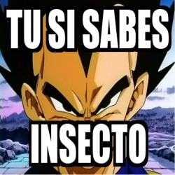Meme Personalizado - tu si sabes insecto - 16394134