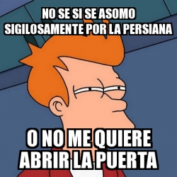 Meme Futurama Fry - no se si se asomo sigilosamente por la persiana o ...