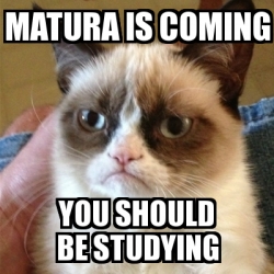 Meme Grumpy Cat - matura is coming you should be studying - 16427089