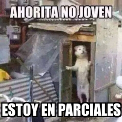 Meme Personalizado - estoy en parciales - 16453205
