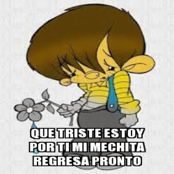 Meme Personalizado - que triste estoy por ti mi mechita regresa pronto ...