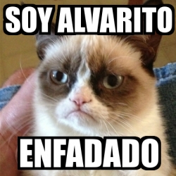 Meme Grumpy Cat - soy alvarito enfadado - 16560536