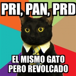 Meme Business Cat - pri, pan, prd el mismo gato pero revolcado - 16627994