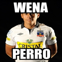 Meme Personalizado - wena perro - 16654822