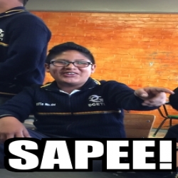 Meme Personalizado - Sapee! - 16666356