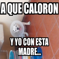 Meme Personalizado - A que caloron y yo con esta madre... - 16692572