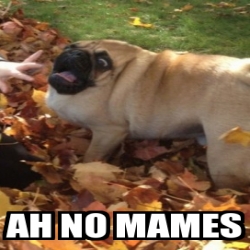 Meme Personalizado - ah no mames - 16696194