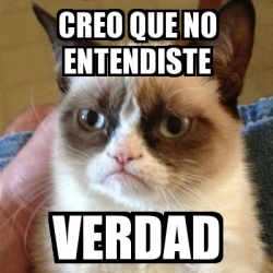Meme Grumpy Cat - creo que no entendiste verdad - 16705571