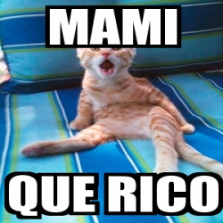 Meme Personalizado - Mami que rico - 16708341