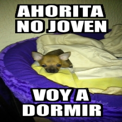 Meme Personalizado - AHORITA NO JOVEN VOY A DORMIR - 16713368