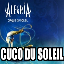 Meme Personalizado - Cuco du soleil - 16731829