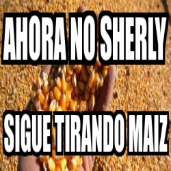 Meme Personalizado - ahora no sherly sigue tirando maiz - 16789016