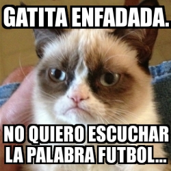 Meme Grumpy Cat - Gatita enfadada. No quiero escuchar la palabra futbol ...