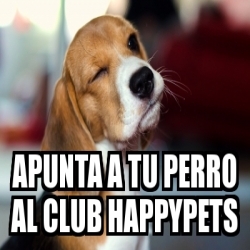 Meme Personalizado - apunta a tu perro al club happypets - 16805810