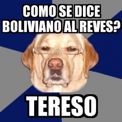 Meme Perro Racista - como se dice boliviano al reves? tereso - 16908313