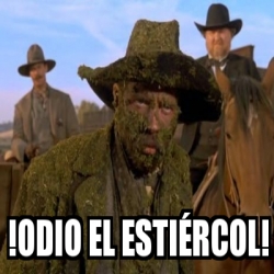 Meme Personalizado - !Odio el estiÃ©rcol! - 16942487