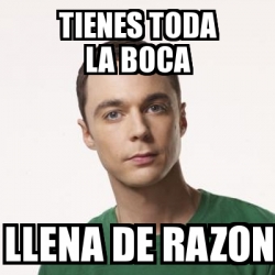 Meme Sheldon Cooper - TIENES TODA LA BOCA LLENA DE RAZON - 16970518