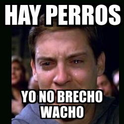 Meme crying peter parker - Hay PERROS Yo no BRECHO wacho - 16979652