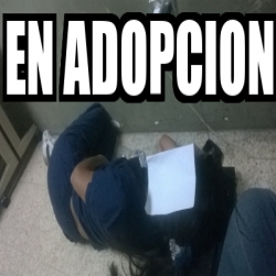 Meme Personalizado - en adopcion - 16986743