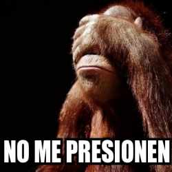 Meme Personalizado - NO ME PRESIONEN - 17107554
