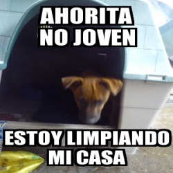 Meme Personalizado - AHORITA NO JOVEN ESTOY LIMPIANDO MI CASA - 17025005