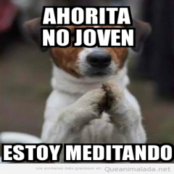 Meme Personalizado - Ahorita no joven Estoy meditando - 17235874