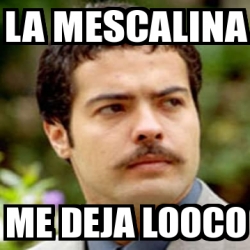 Meme Personalizado - La mescalina Me deja looco - 17288929
