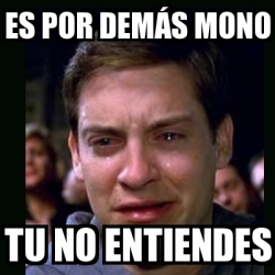 Meme crying peter parker - Es por demÃ¡s mono Tu no entiendes - 17034942