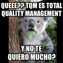 Meme Koala - QUeee?? tqm es Total Quality Management y no te quiero ...
