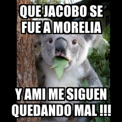 Meme Koala - que jacobo se fue a Morelia y ami me siguen quedando mal ...