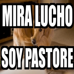 Meme Personalizado - mira lucho soy pastore - 17643184
