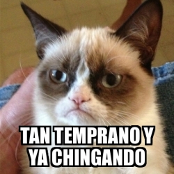 Meme Grumpy Cat - tan temprano y ya chingando - 17702427
