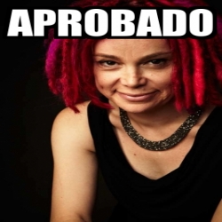 Meme Personalizado - aprobado - 17774421