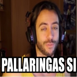 Meme Personalizado - Pallaringas si - 17835659