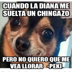 Meme Personalizado - cuando la diana me suelta un chingazo pero no ...
