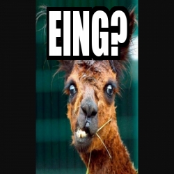 Meme Personalizado - Eing? - 17878293