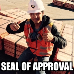 Meme Personalizado - seal of approval - 17097015