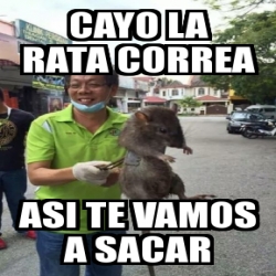 Meme Personalizado - CAYO LA RATA CORREA ASI TE VAMOS A SACAR - 17953056