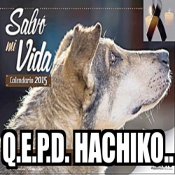 Meme Personalizado - q.e.p.d. hachiko.. - 17998654