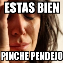Meme Problems - estas bien pinche pendejo - 18006548
