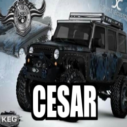 Meme Personalizado - cesar - 18199311