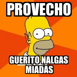 Meme Homer - provecho guerito nalgas miadas - 18206794