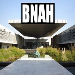 Meme Personalizado - bnah - 18291419