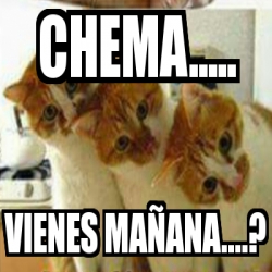 Meme Personalizado - Chema..... Vienes maÃ±ana....? - 18316687