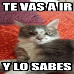 Meme Personalizado - TE VAS A IR Y LO SABES - 18386750