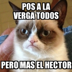 Meme Grumpy Cat - Pos a la verga todos pero mas el hector - 18456771
