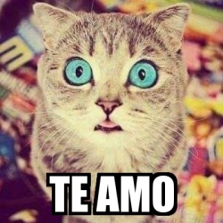 Meme Personalizado - te amo - 18065338