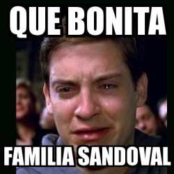 Meme crying peter parker - Que bonita familia Sandoval - 18623284