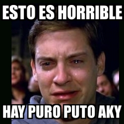 Meme crying peter parker - Esto es horrible Hay puro puto aky - 18648870
